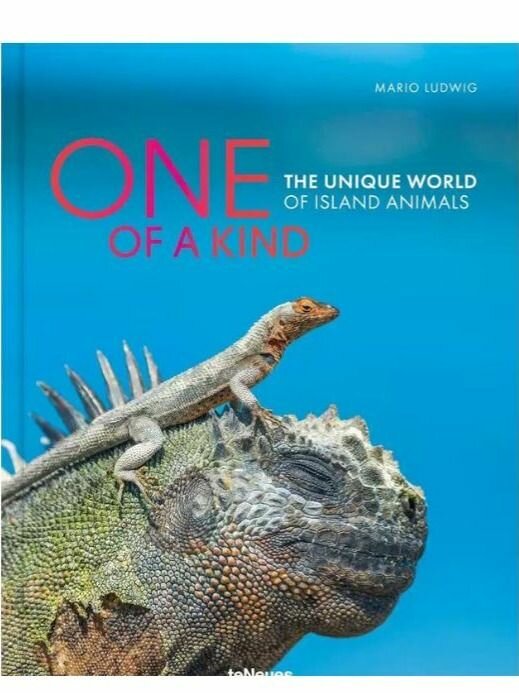 One of a Kind: The Unique World of Island Animals