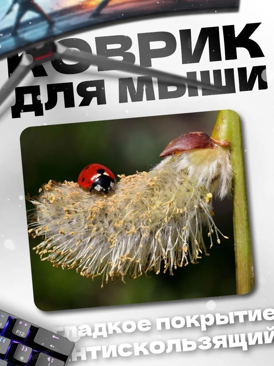 Коврик для мыши Божья коровка на цветке