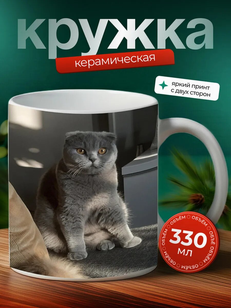 Кружка Шотландская прямоухая кошка 41,