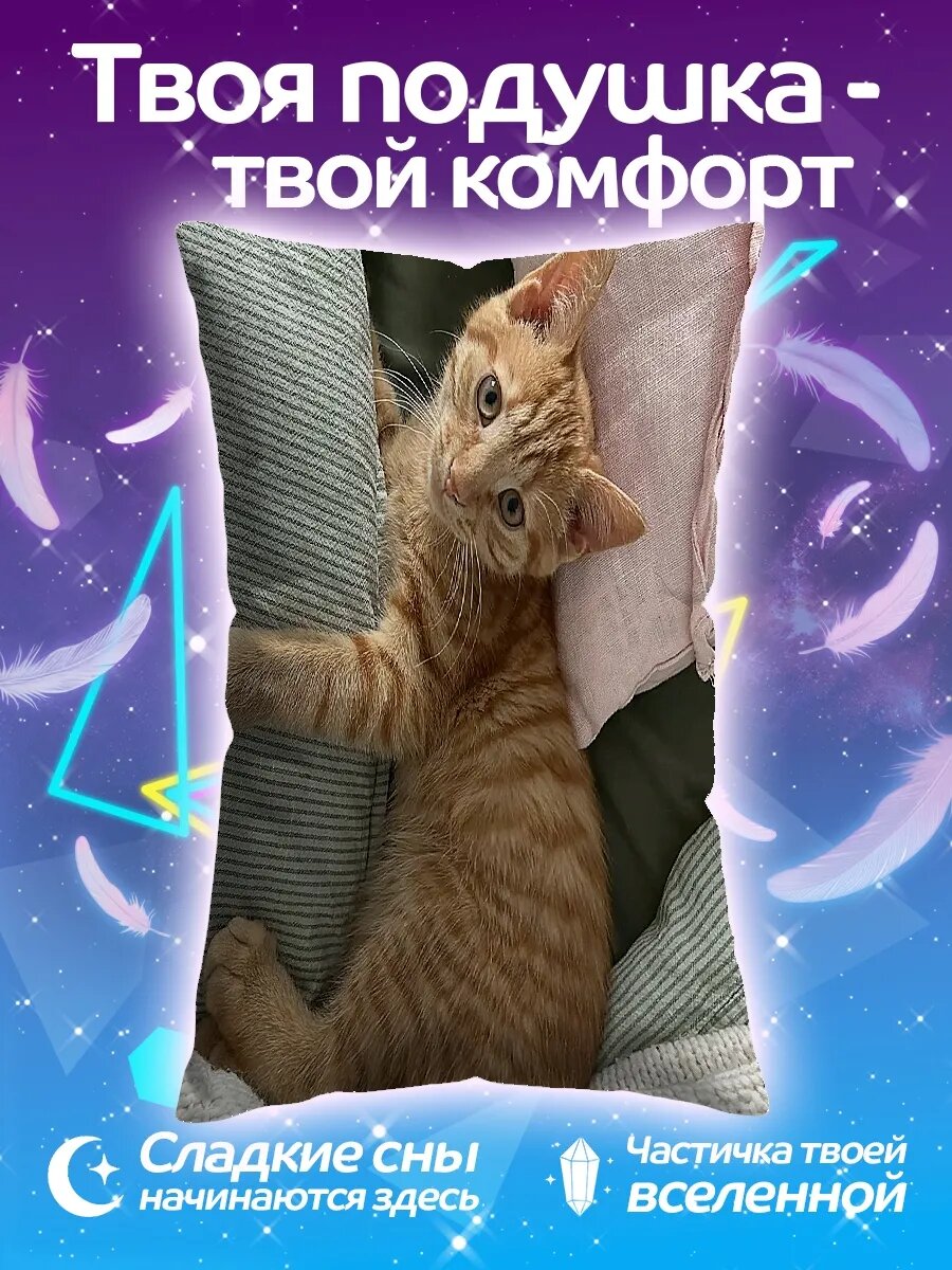 Подушка дакимакура Рыжий кот подушки