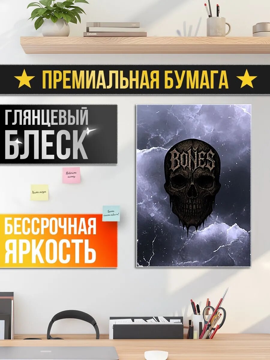 Постер на стену Bones череп — фото 1