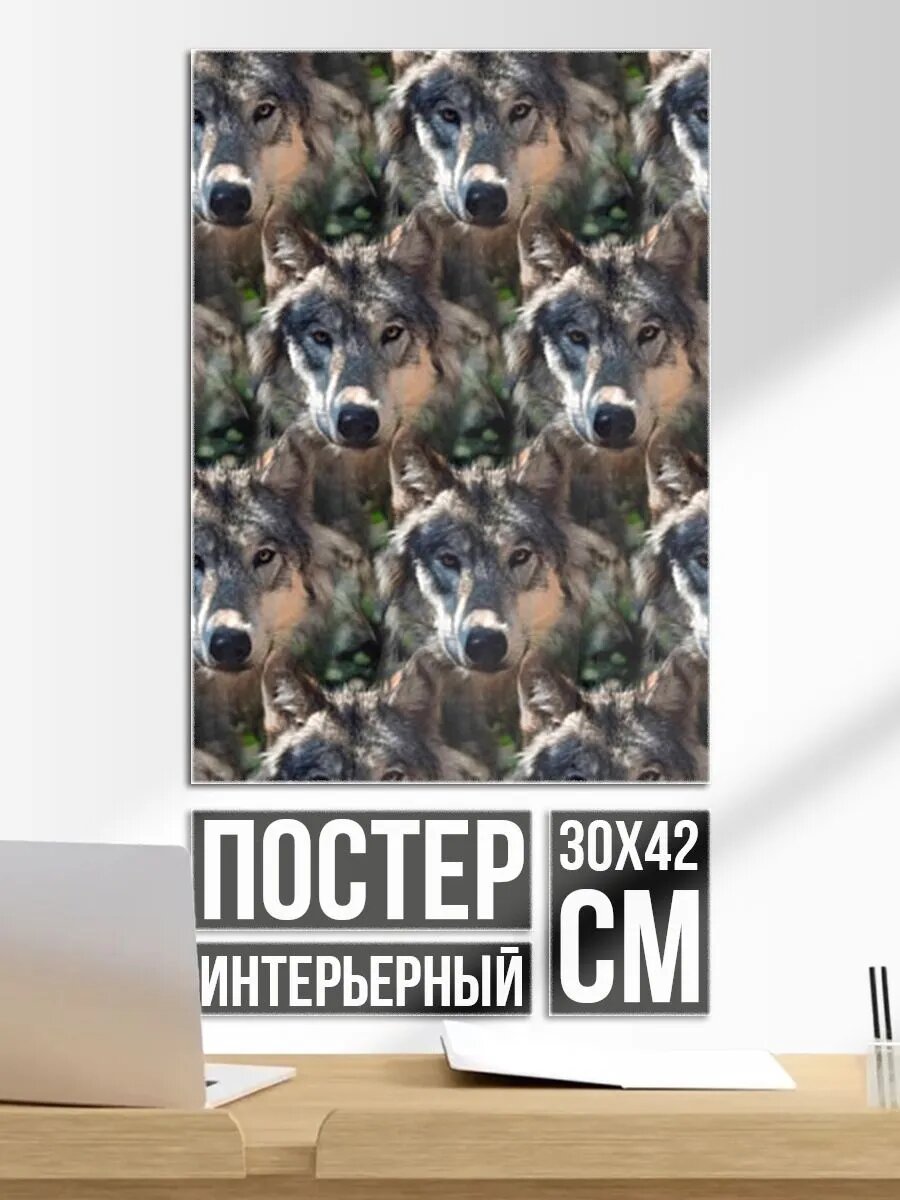 Постер на стену Волки клипарт wolfs