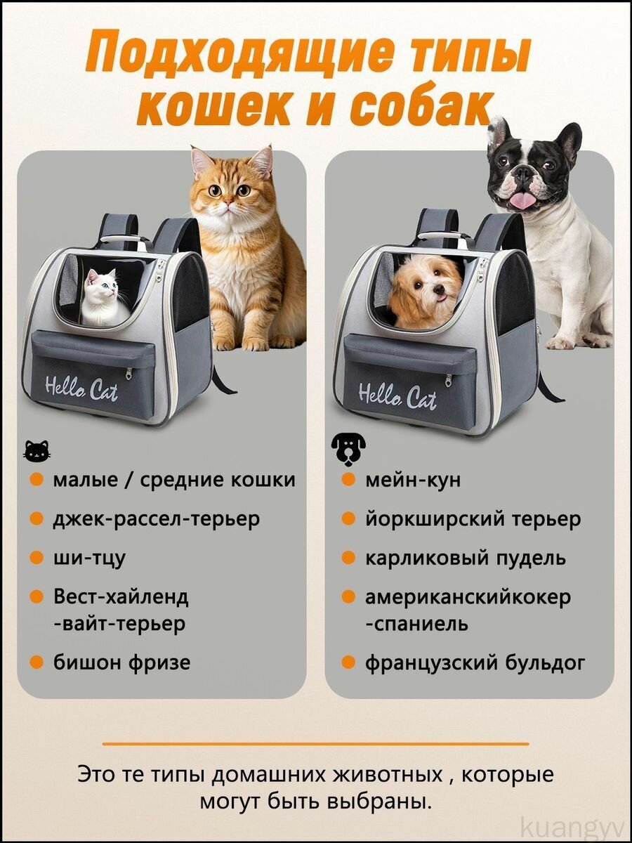 Переноска для кошек и собак мелких пород, сумка для животных дорожная компактная для путешествий
