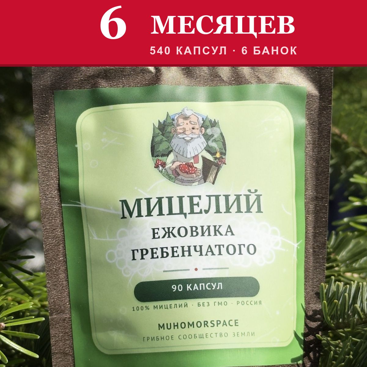 Мицелий ежовика гребенчатого в капсулах, 540 капсул по 300 мг, курс на 6 месяцев