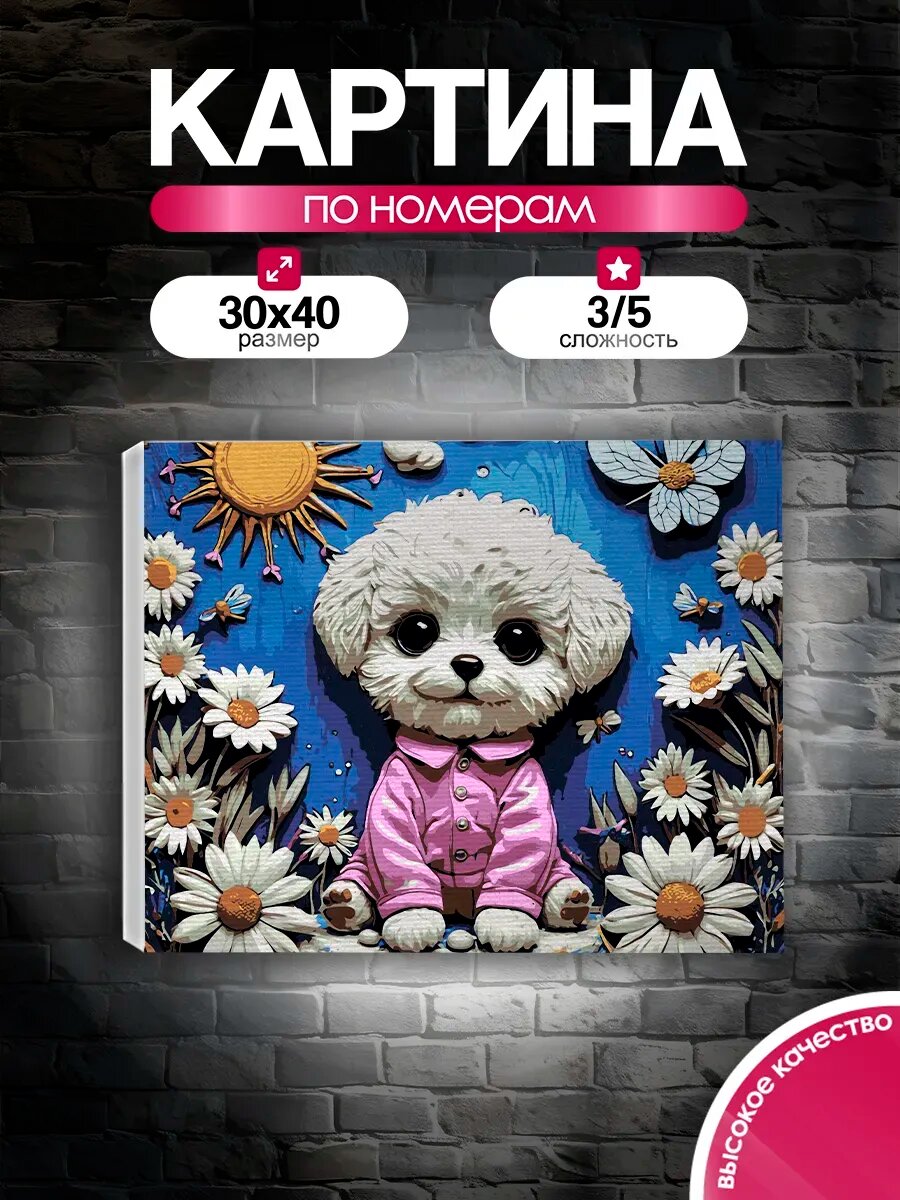 Картина по номерам 30x40 Пушистый бишон