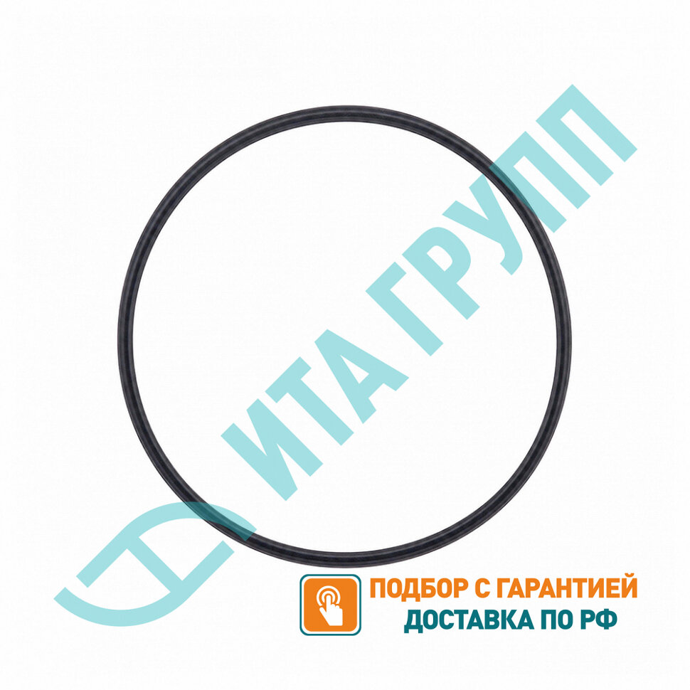 Уплотнительное кольцо 95 мм для ИТА-06, F9055