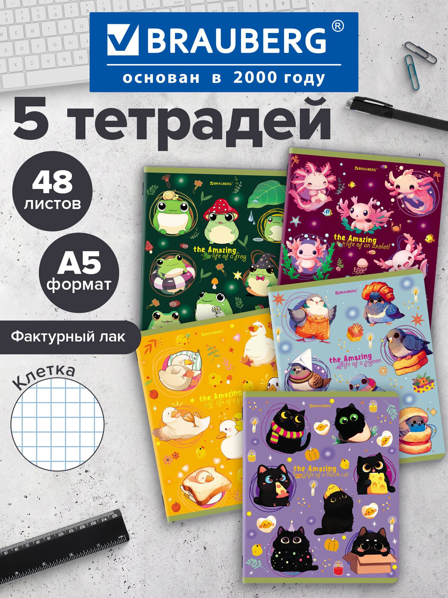Тетрадь 48 листов в клетку Brauberg 5 штук набор