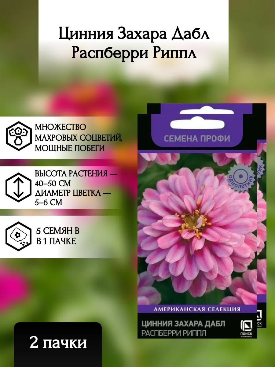 Цинния Захара Дабл Распберри Риппл, 2 пачки