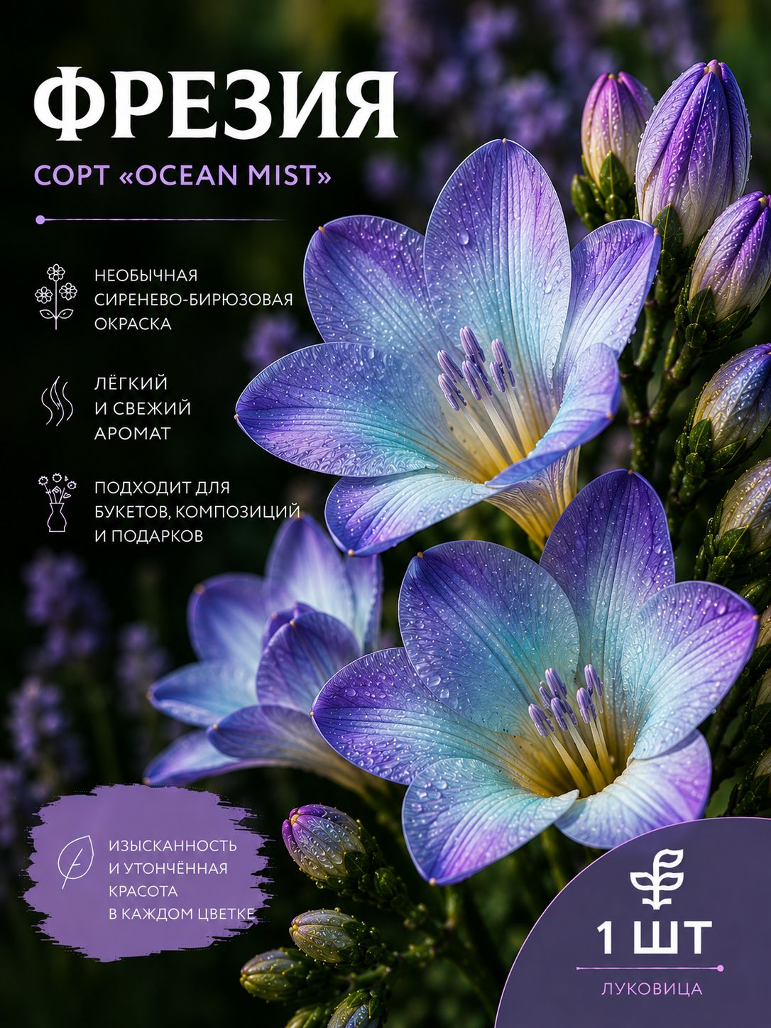 Фрезия луковицы многолетние 1 штука