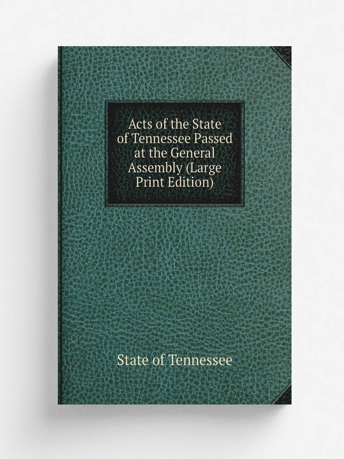 Acts of the State of Tennessee Passed at the General Assembly (Large Print Edition)