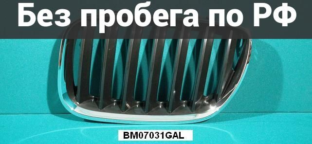 Решетка радиатора лев. Дубль BMW X5 E53