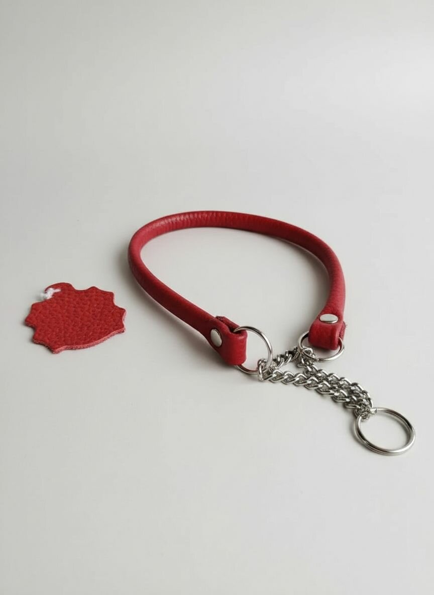 Ошейник удавка для собак маленьких пород для шпица ринговка dog collar