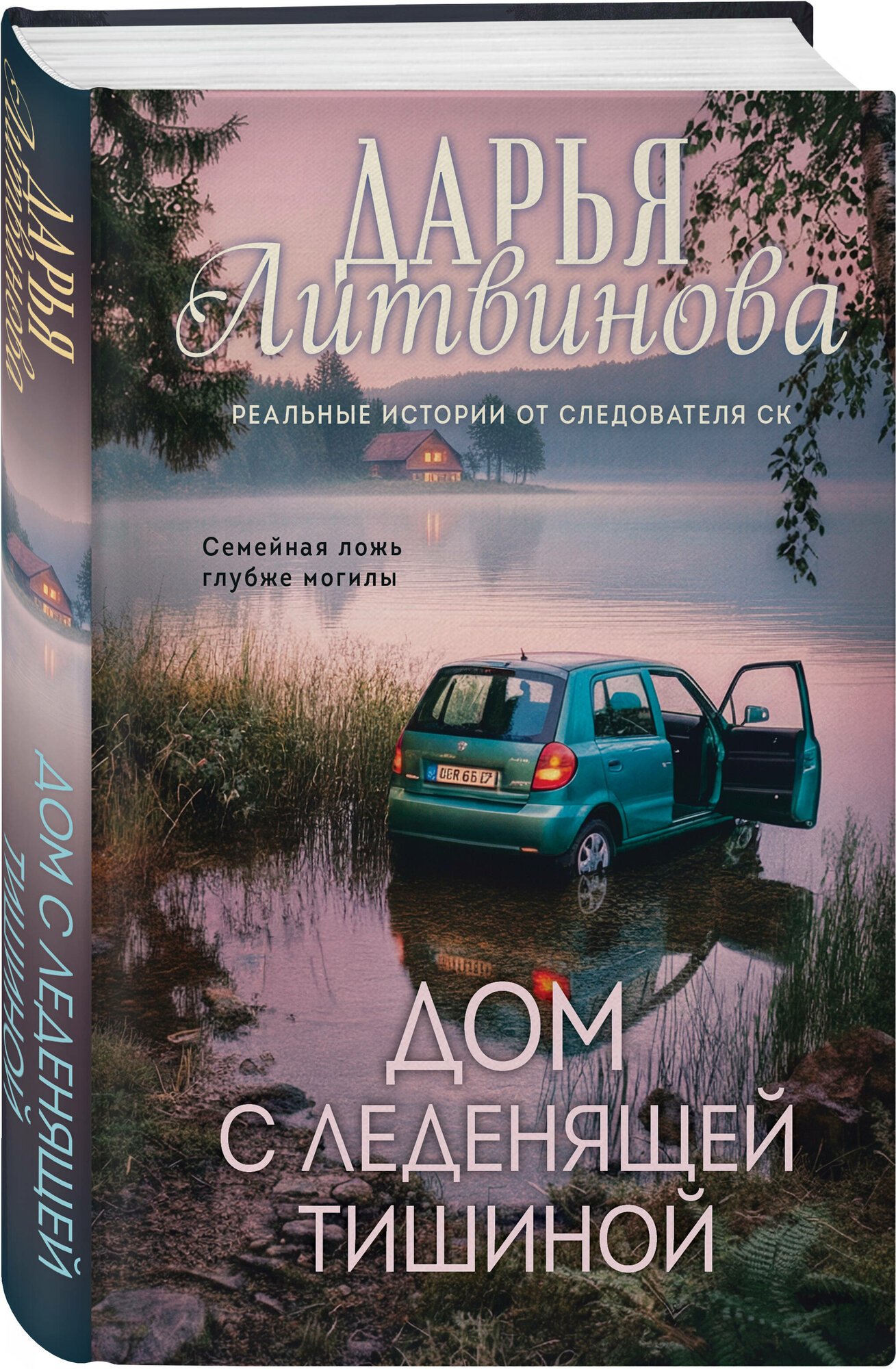 Литвинова Д. С. Дом с леденящей тишиной