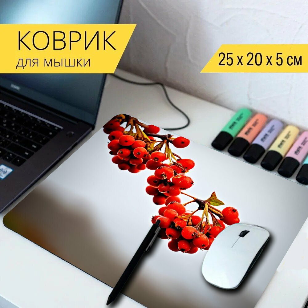 Коврик для мыши с принтом "Веточка рябины с ягодами, снятая в формате панорамы, где ягоды ярко выделяются на фоне серой небосвод. использовать технику hdr-фотографии для." 25x20см.
