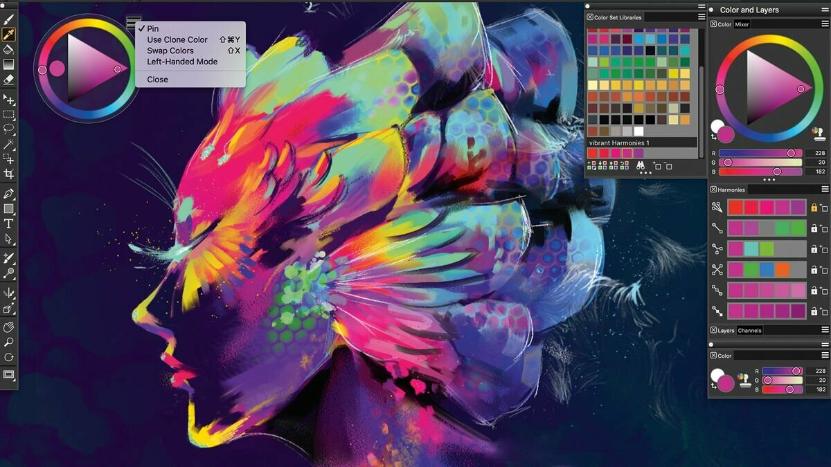 Corel Painter 2020 Ключ (2 Devices) • Цифровой ключ • регион Весь мир