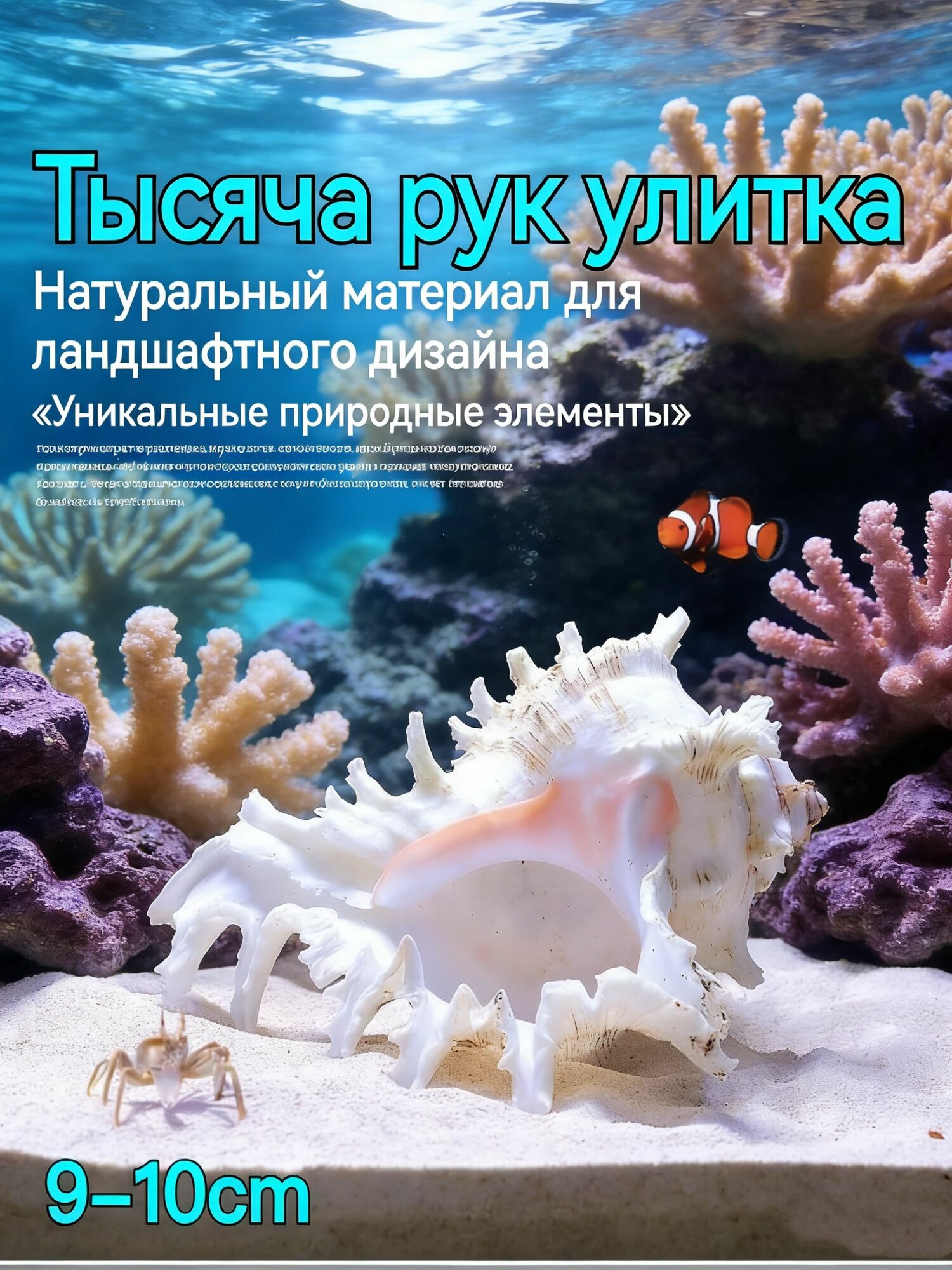 Ракушка морская, натуральная Мурекс, " Белая невеста" 9-10см./декорация для аквариума
