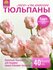 Искусственные цветы,5шт