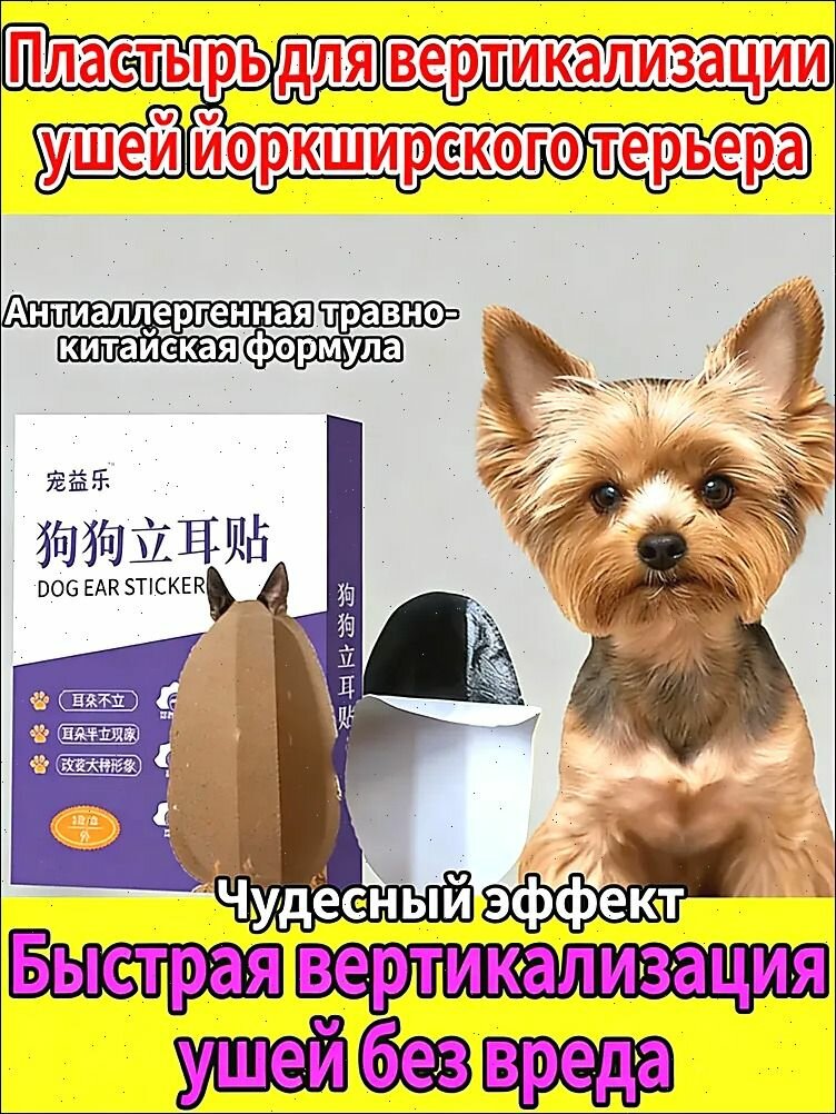 Корректор поведения для животных