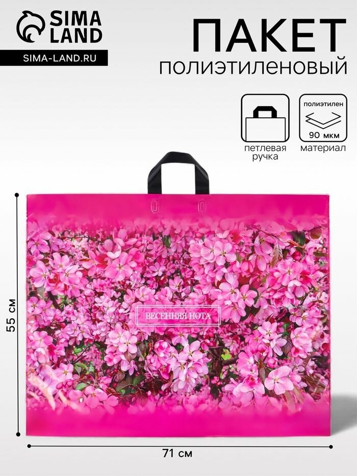 Пакет подарочный Весенняя нота , полиэтиленовый с петлевой ручкой, 71 55 см, 90 мкм 5860343