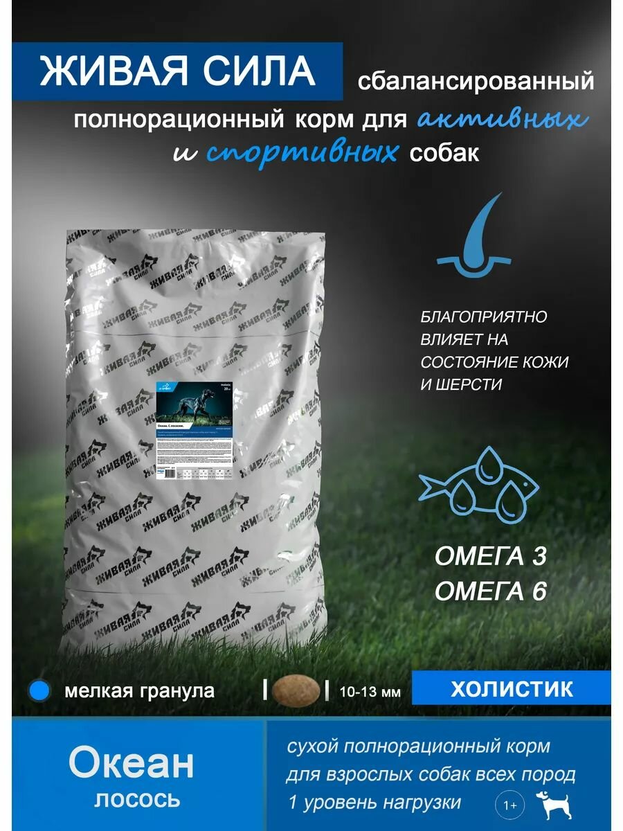Сухой корм Холистик для собак океан с рыбой мелкая гранула 20кг