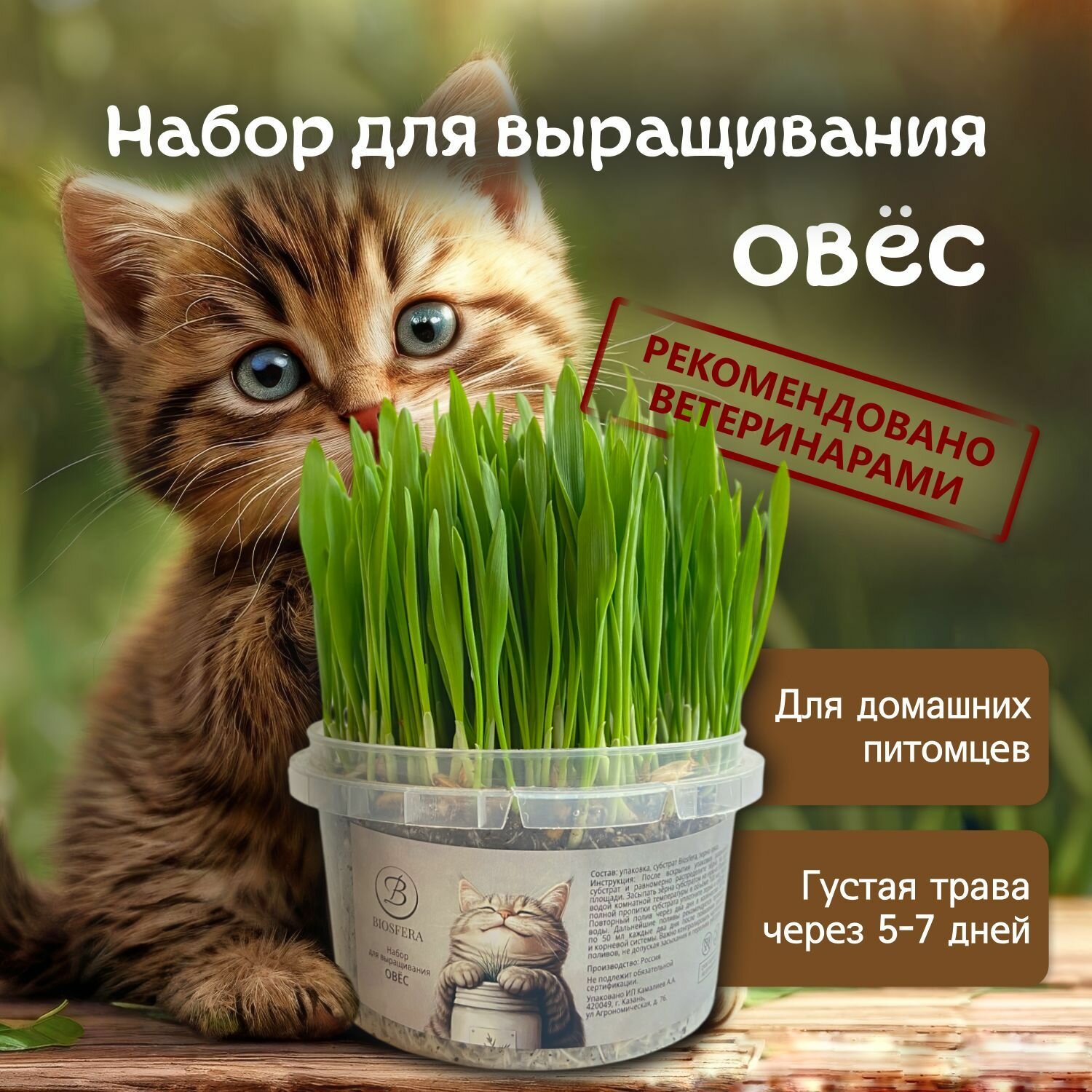 Трава для кошек (набор для выращивания) овёс/лакомство для кошек овес для кошек выращивание травы лакомство для кошек зелень для кошек
