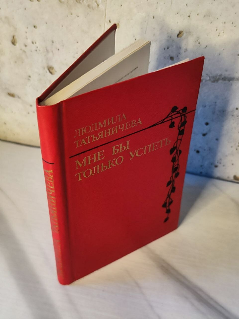 Мне бы только успеть. Стихи Татьяничева Людмила Константиновна