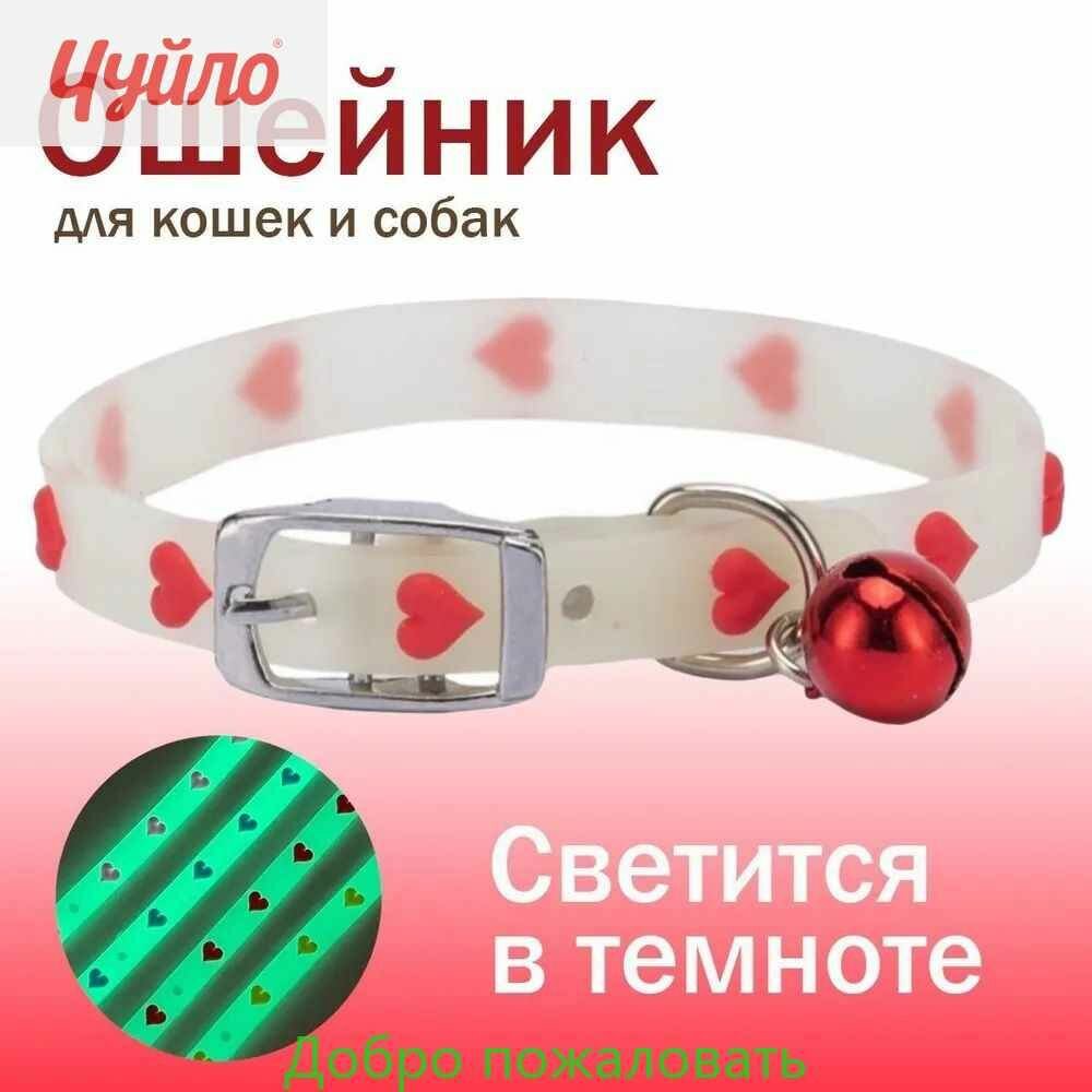 Ошейник светящийся для кошек и собак мелких пород