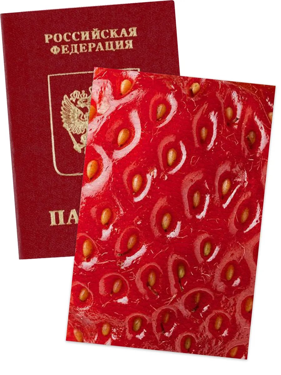 Обложка для паспорта