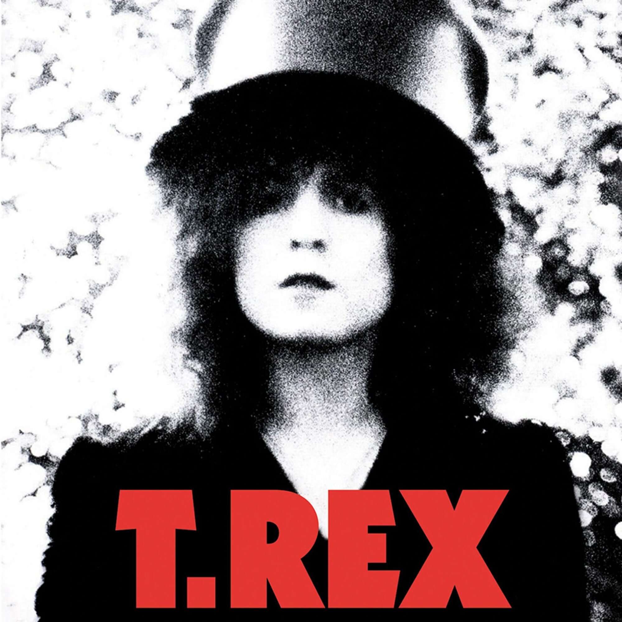 Виниловая пластинка T. Rex - The Slider (LP) 2010