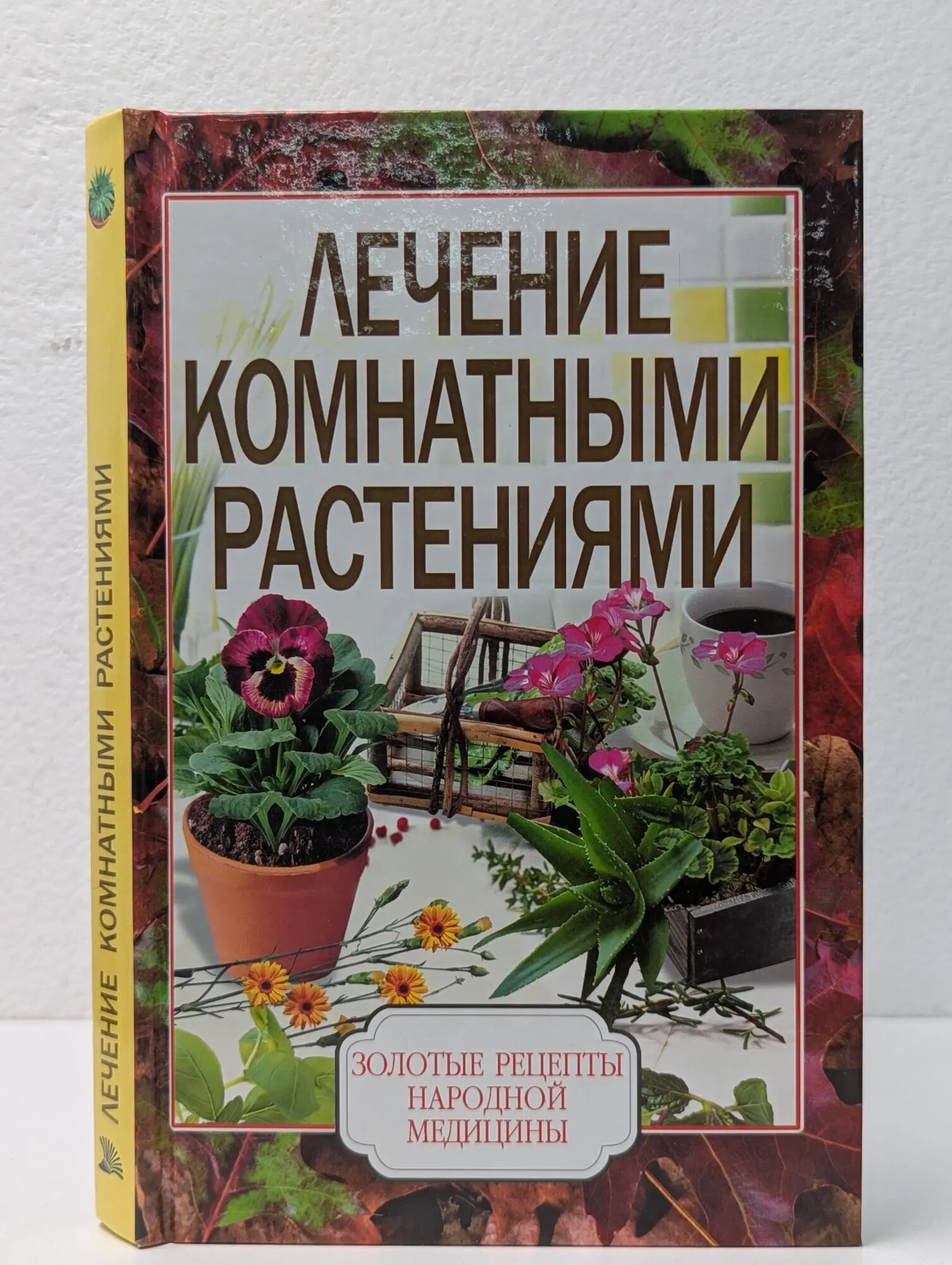 Золотые рецепты народной медицины. Лечение комнатными растениями Исаева Елена Львовна 2007