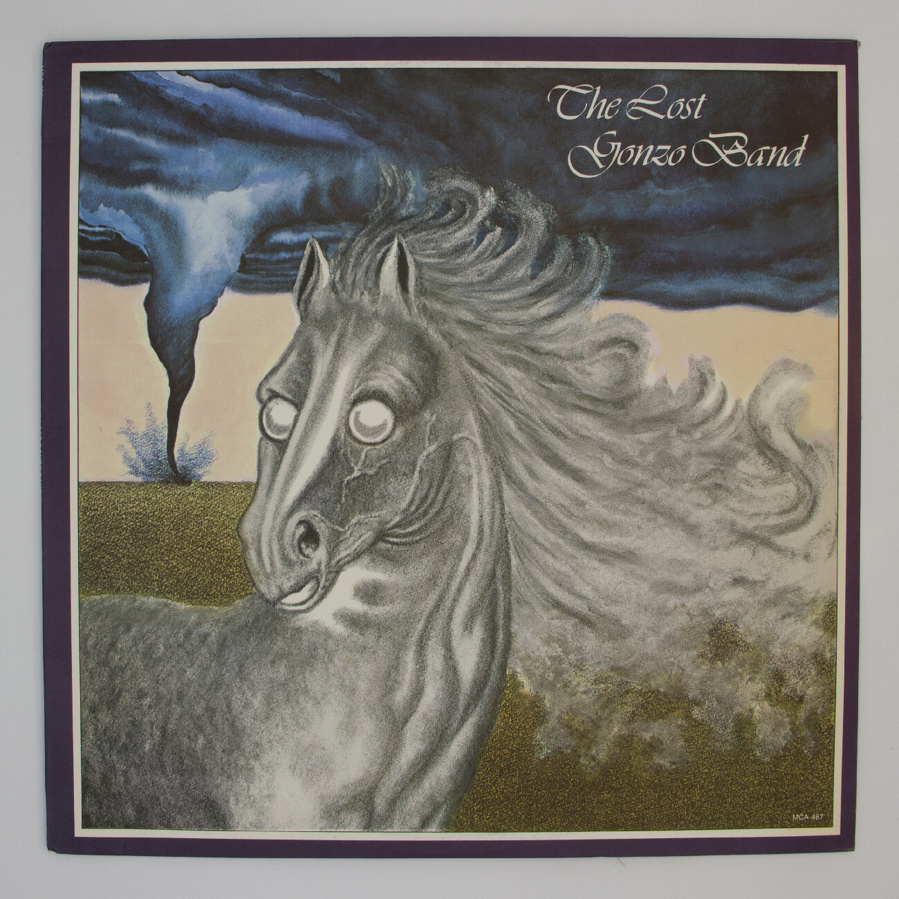 Виниловая пластинка The Lost Gonzo Band - Loose And On My Way, 1xLP, EX