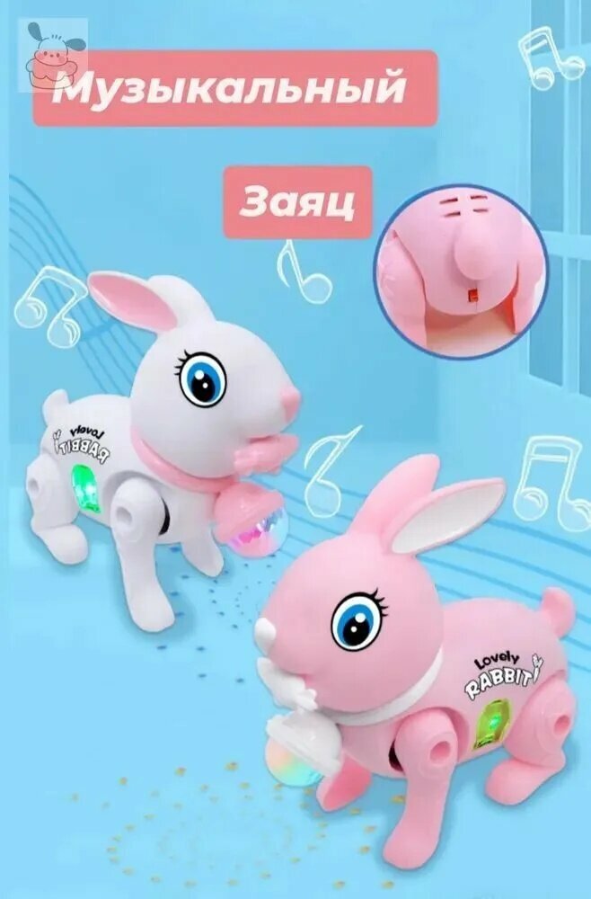 Заяц музыкальный1
