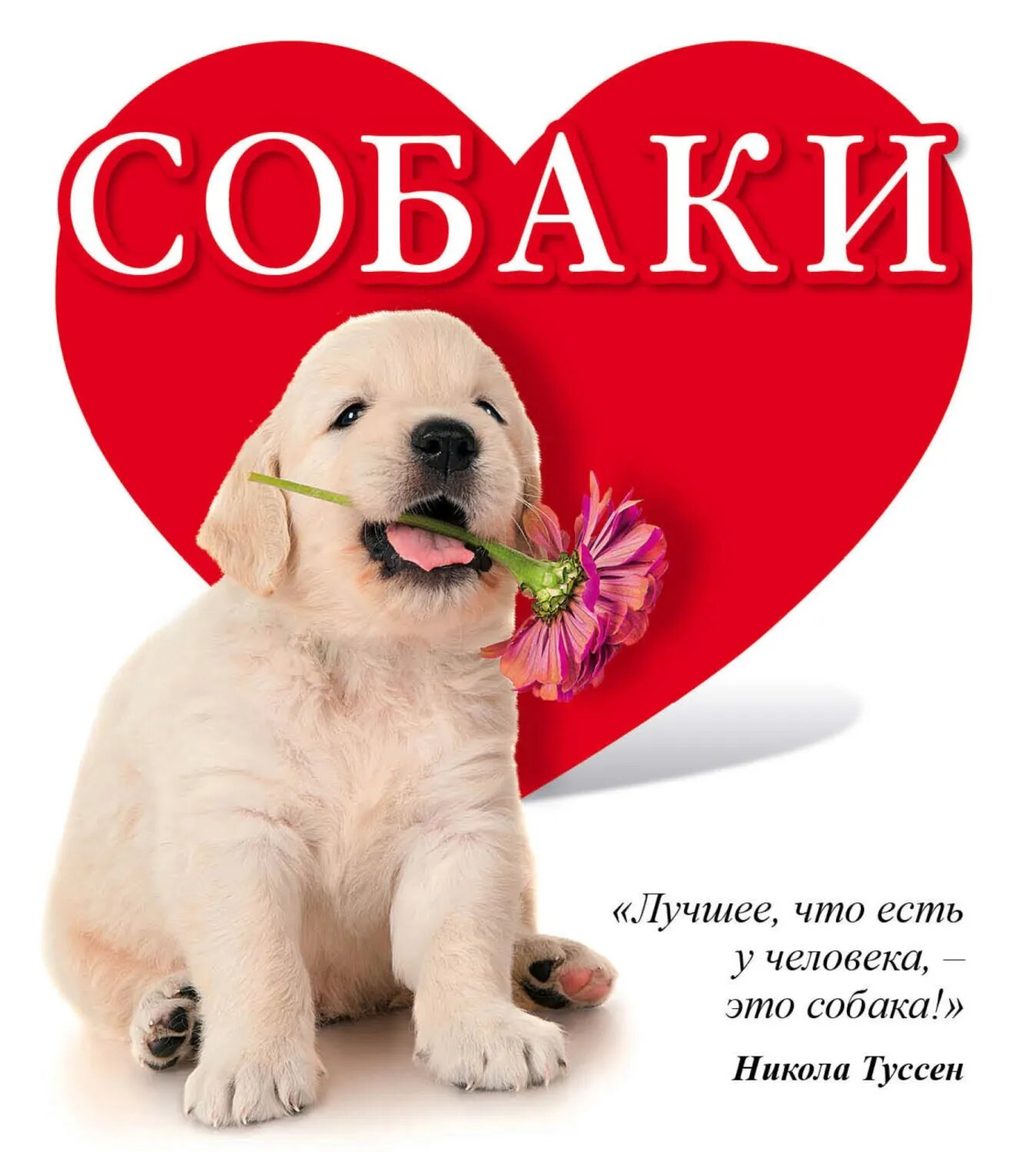 Собаки [Цифровая книга]