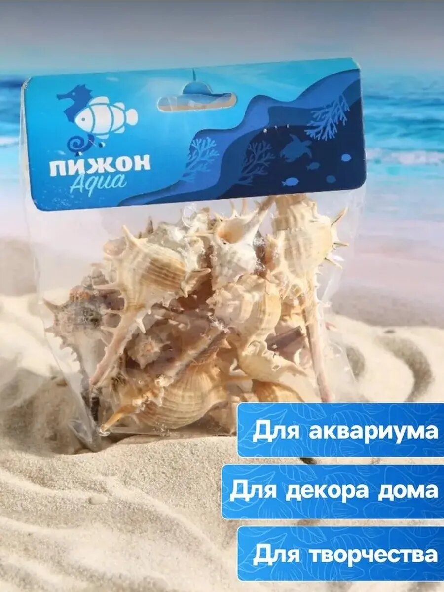 Декоративные ракушки для аквариума, 100 г