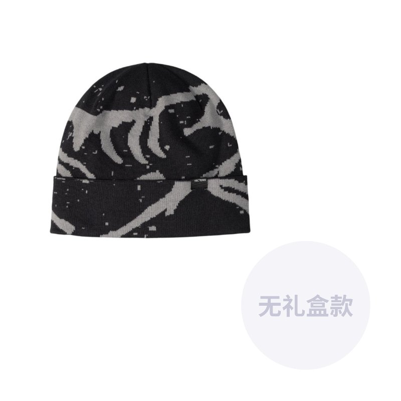 Шапка-бини Arc'teryx Graphic Hat для мужчин