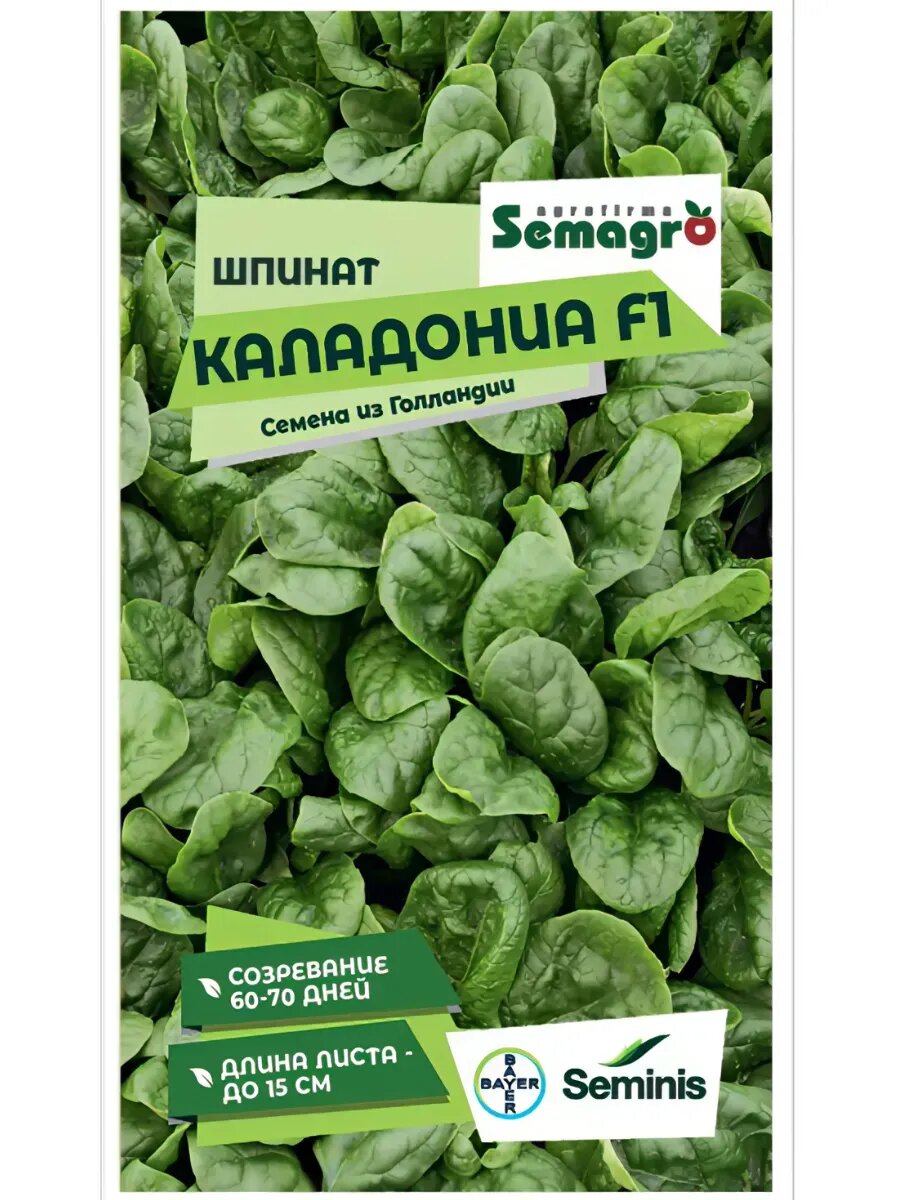 Семена шпинат Каледония