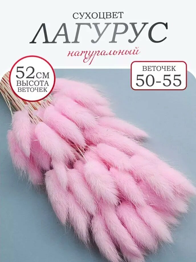 Сухоцветы, 55 см, 40 гр, 55 шт