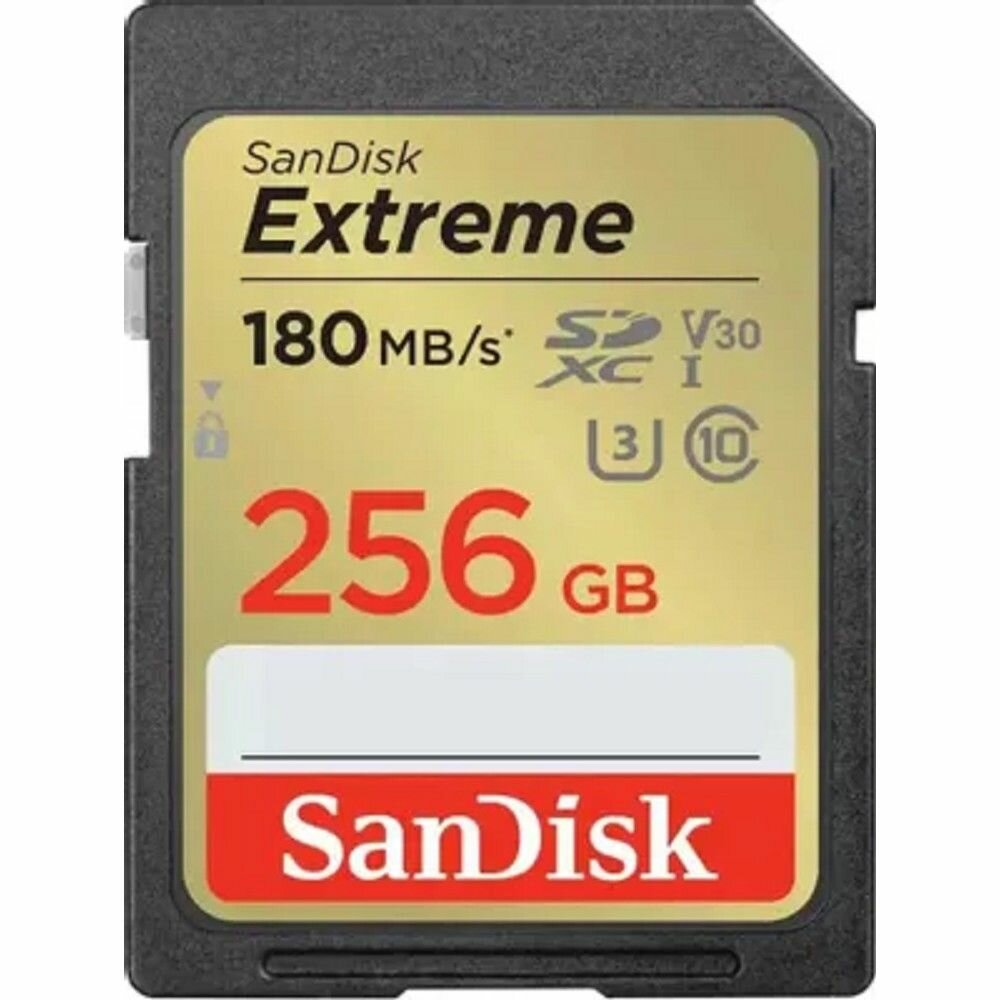 Карта памяти SanDisk SDSDXVV - 256G - GNCIN 256 ГБ