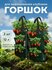 Вазоны
