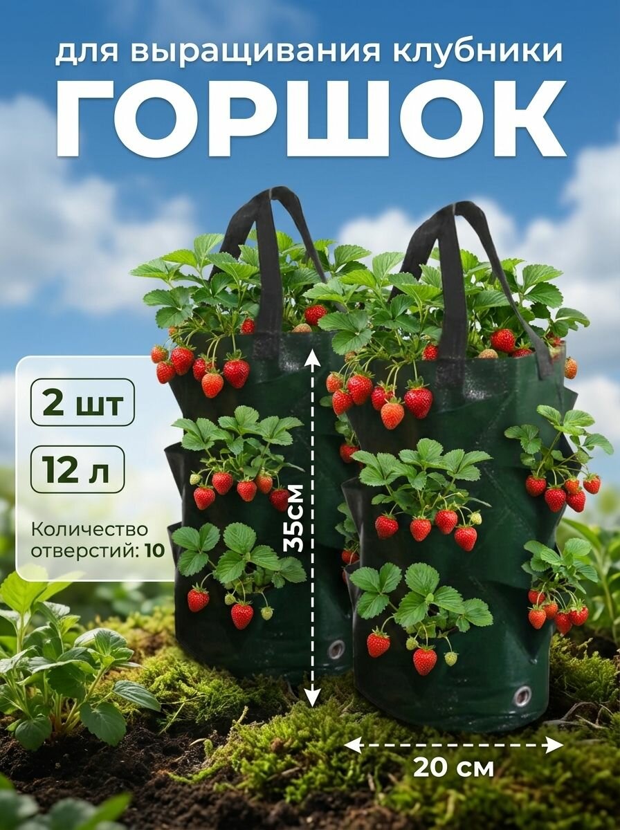 Вазоны