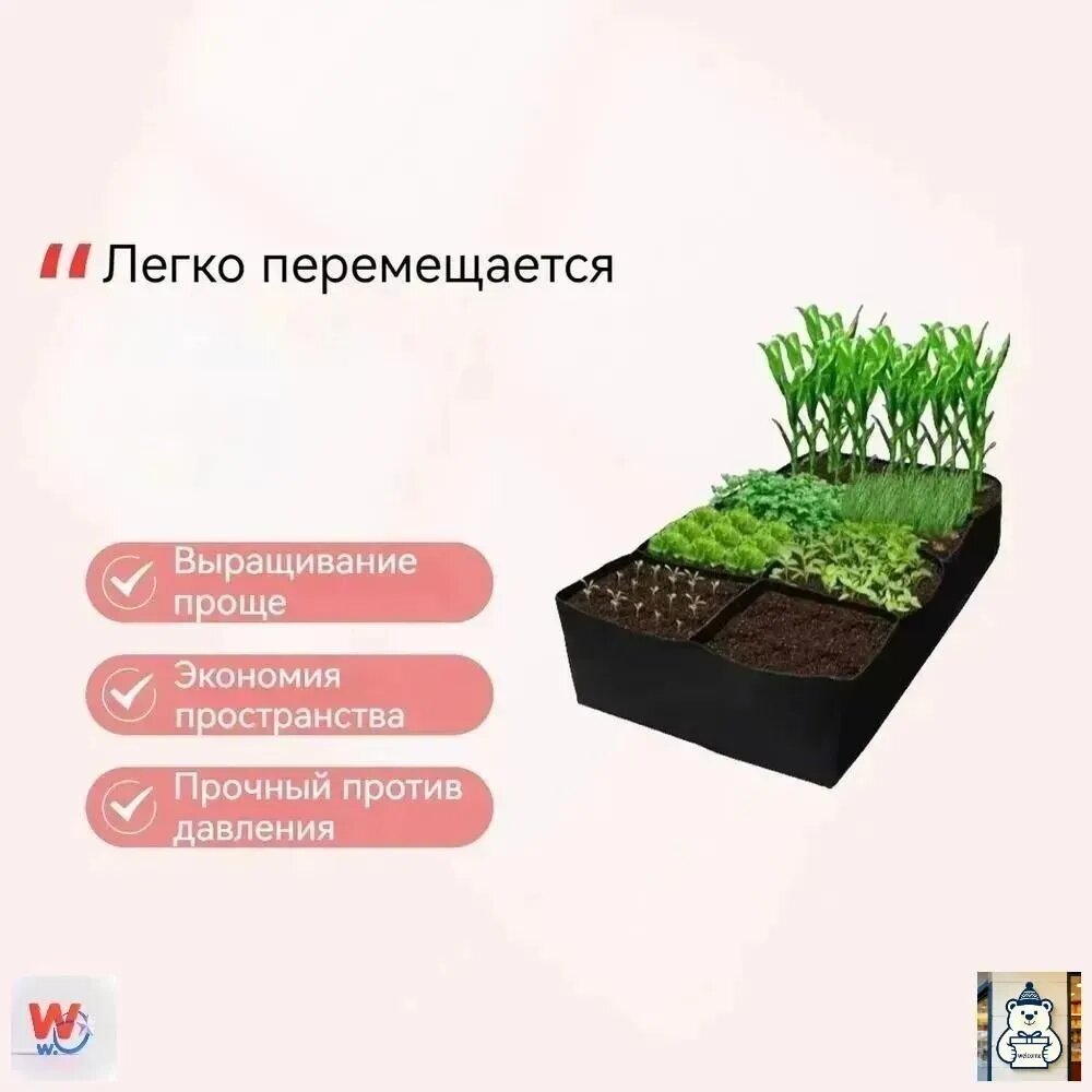 Грядка — фото 1