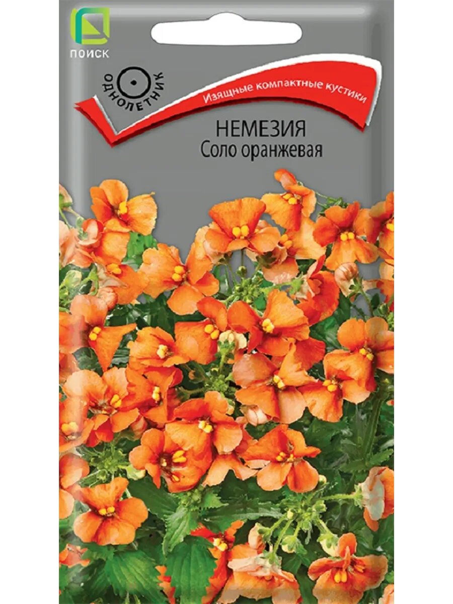 Семена цветов немезия Соло оранжевая