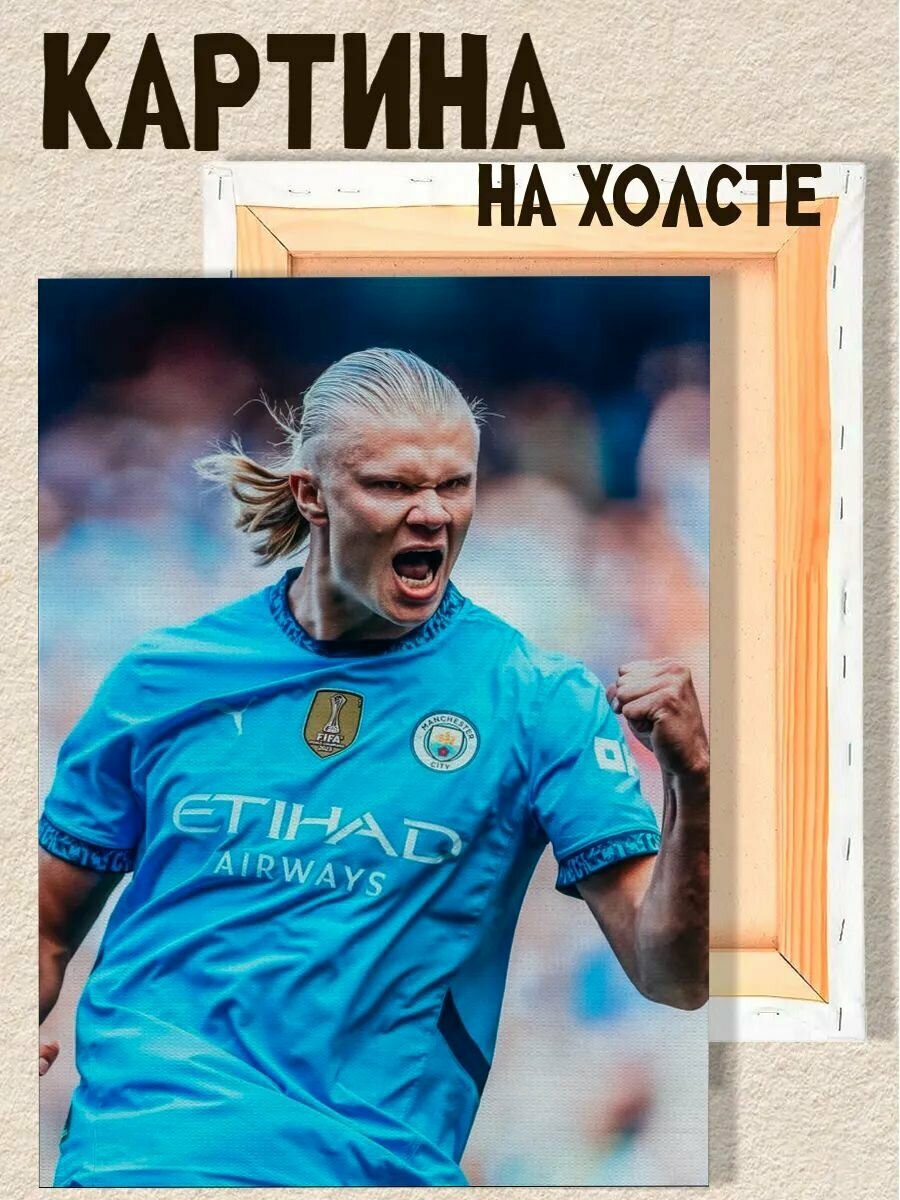Картина на стену Холланд футболист, на подрамнике, 1шт, 38х25 размер.