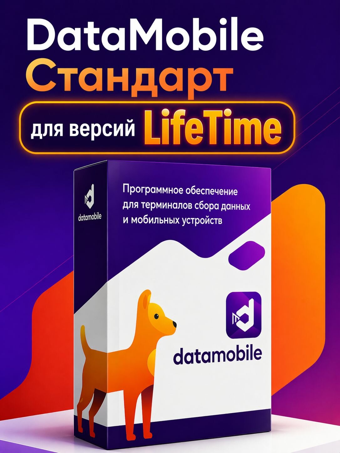 DMUpd: Подписка на обновления ПО DataMobile, версия Стандарт (LifeTime) лицензия на 12 месяцев