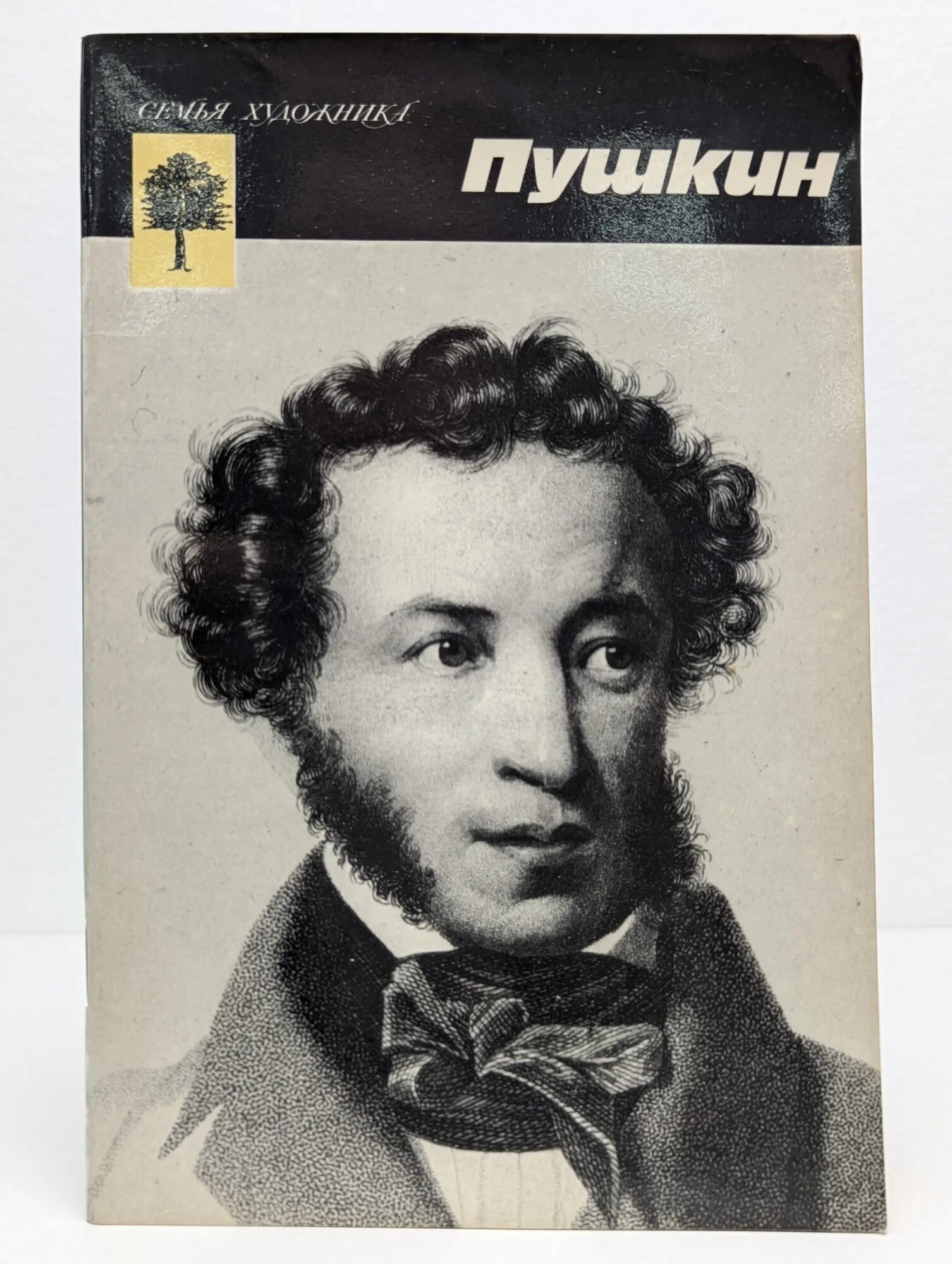 Семья художника. Пушкин. Альбом Минина Ангелина Ивановна 1989