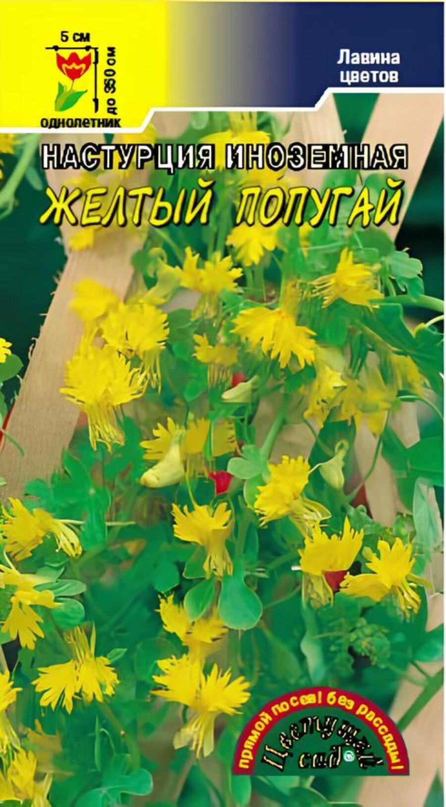 Семена Настурция Иноземная Желтый попугай (5 семян), Цветущий сад