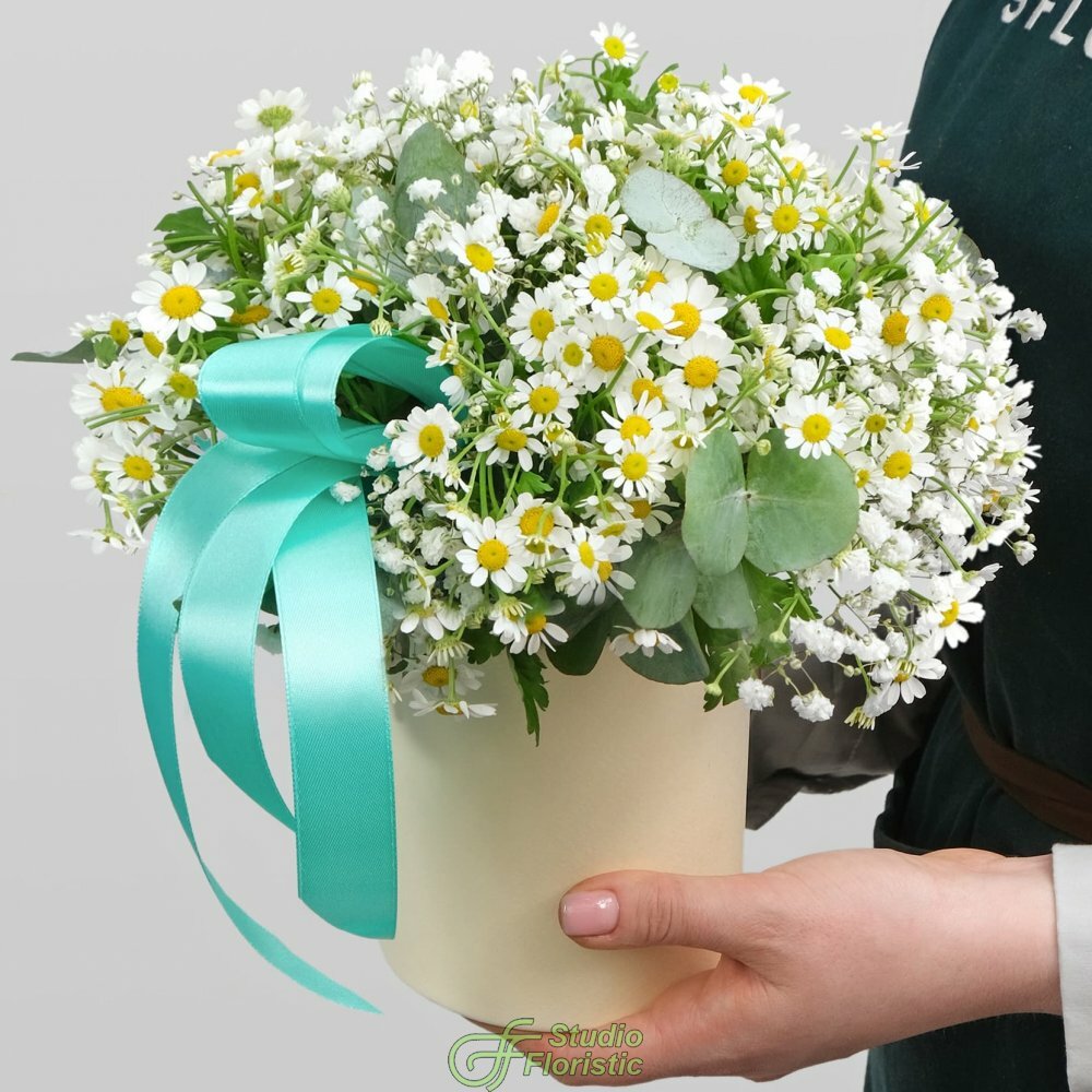 Композиция из Ромашки и Гипсофилы «Нежная Любовь»
