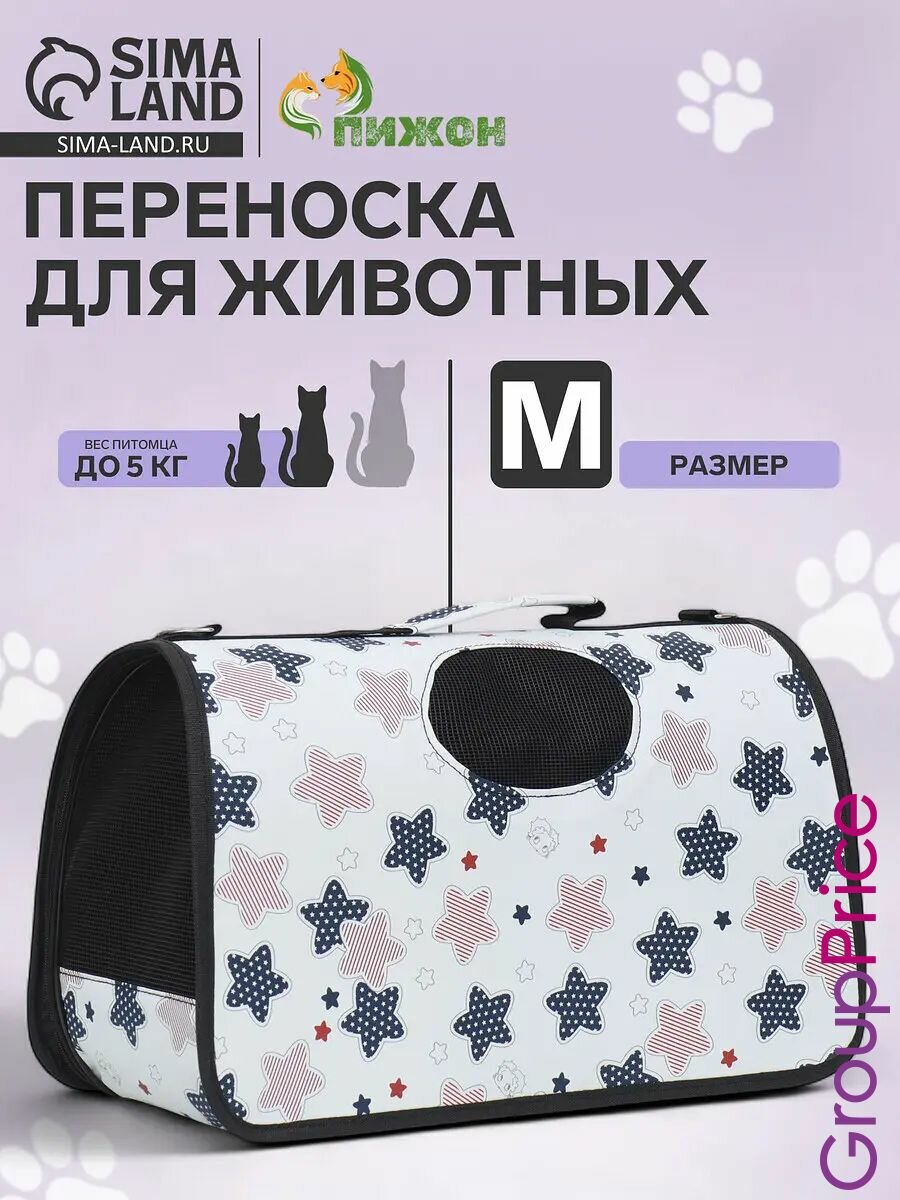 Сумка - переноска Пижон