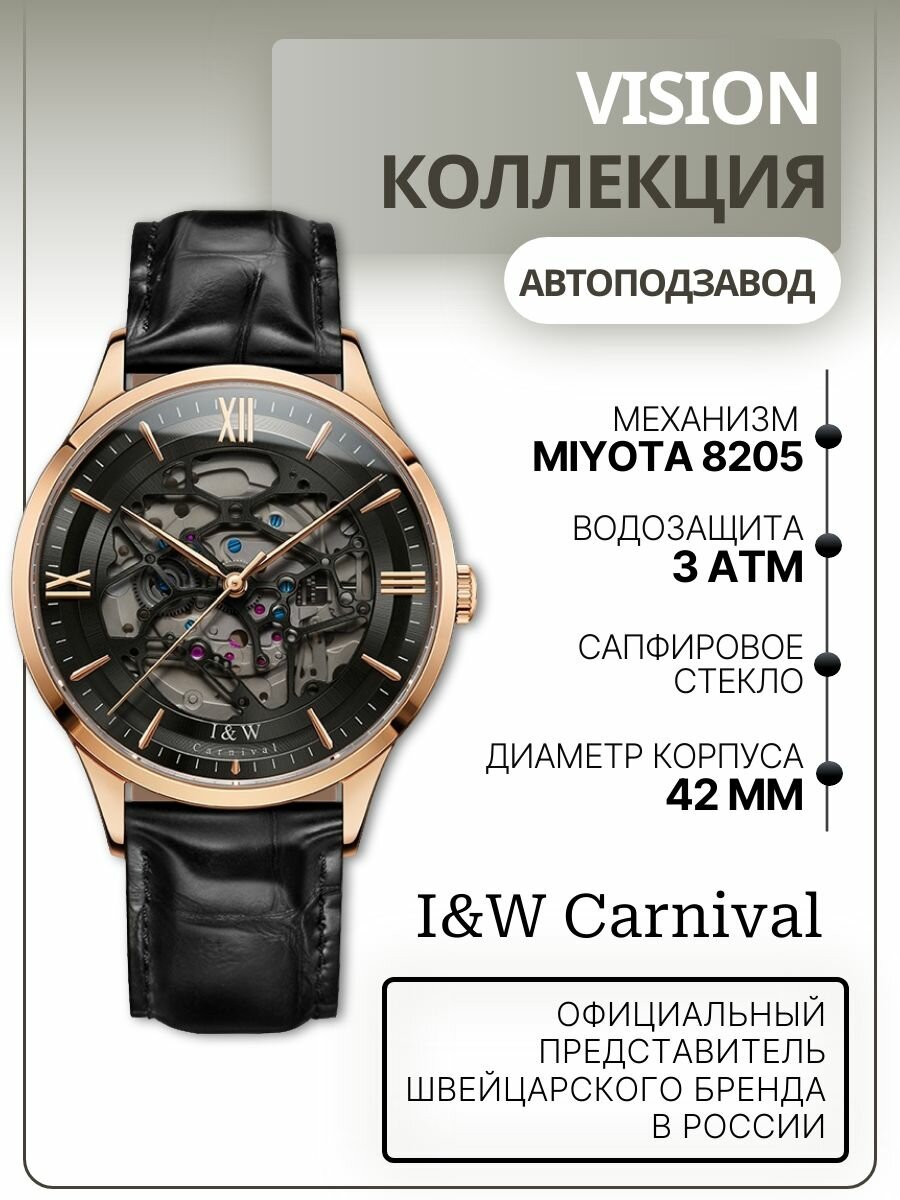 Наручные часы VISION COLLECTION