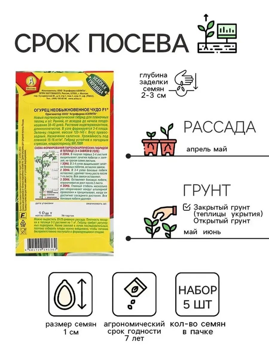 Быстрый урожай огурцов для вашего огорода